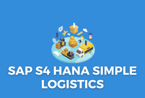 Best SAP Simple Logistics Training Institute in Pune